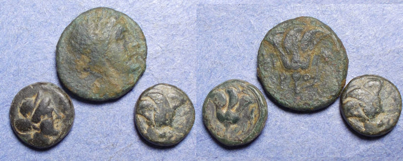 Islands off of Caria, Rhodes Circa 400-200 BC, | Greek Coins
