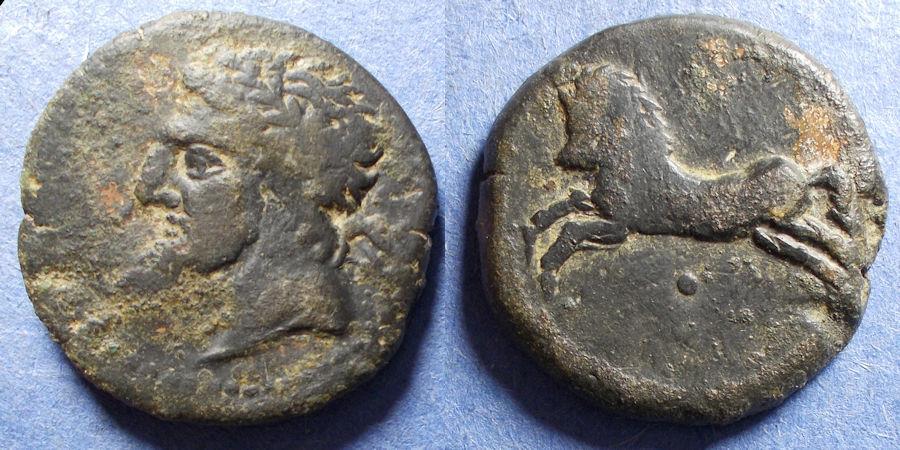 Numidia, Massinissa or Micipsa 203-118 BC, Bronze AE26 | Greek Coins