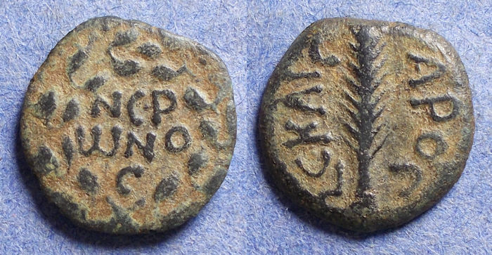 Judaea, Porcius Festus 59-62, Bronze Prutah | Roman Provincial Coins