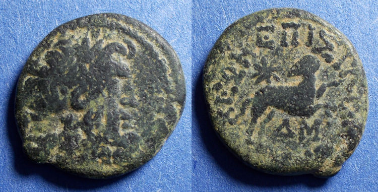 Seleucia & Pieria, Antioch, Pseudo Autonomous 13-14 AD, Bronze AE19