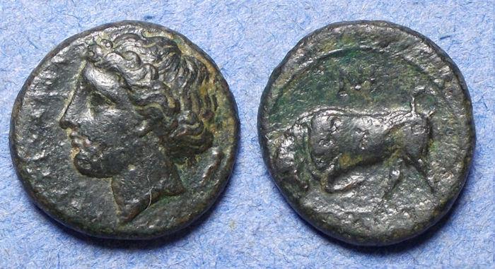 Sicily, Syracuse, Agathocles 317-289 BC, Bronze AE15 | Greek Coins