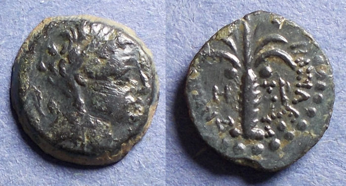 Seleucid Kingdom, Demetrius II (first reign) 145-139 BC, Bronze AE13