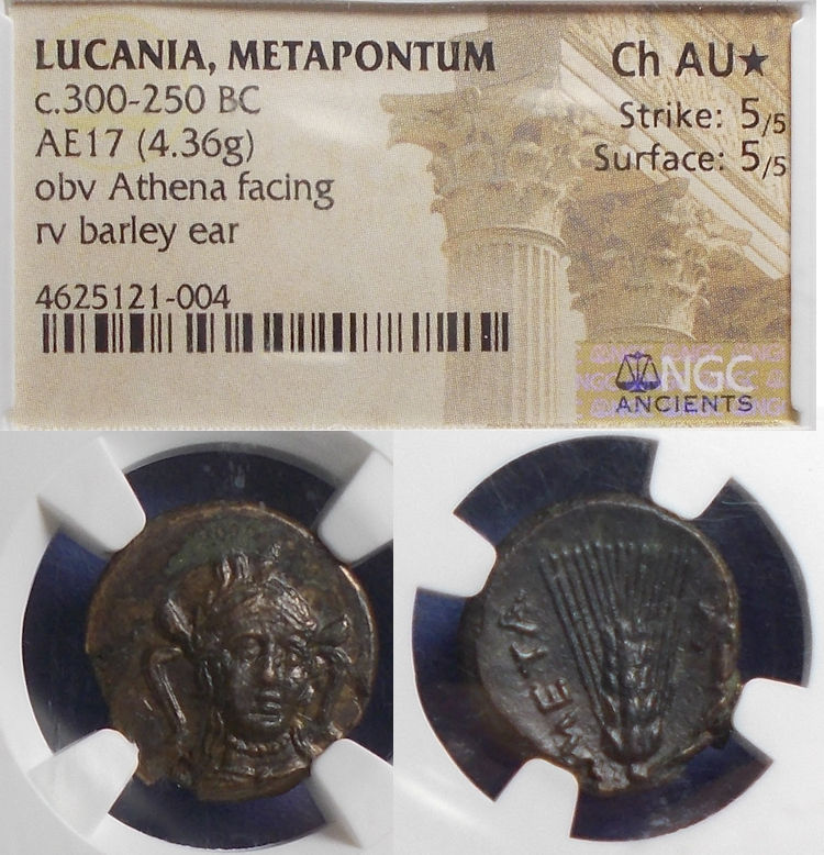 Lucania, Metapontum 300-250 BC, AE17 | Greek Coins