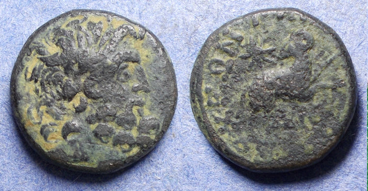 Seleucia & Pieria, Antioch 13/14 AD, Bronze AE19 | Roman Provincial Coins