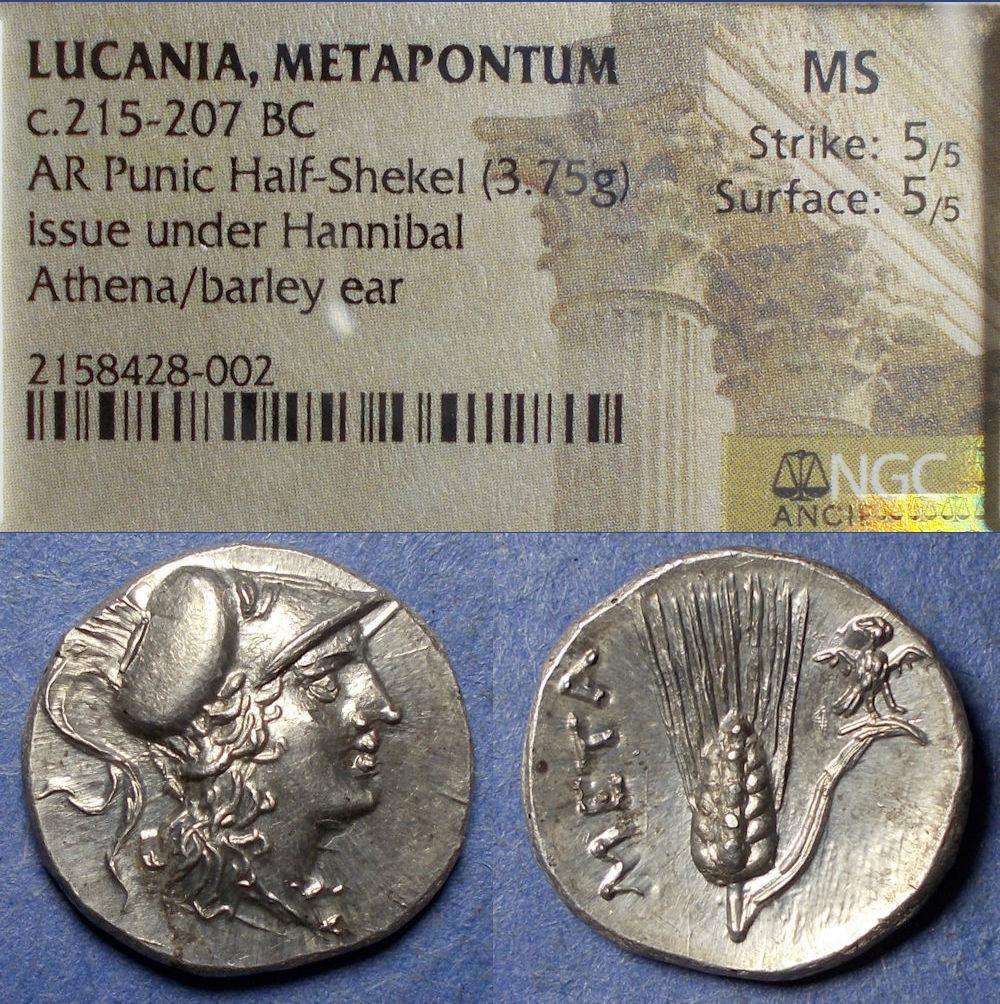 Lucania, Metapontion, Punic Occupation 215-207 BC, Silver Half Shekel ...