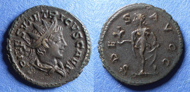 Romano-Gallic Emperors, Tetricus II (Caesar) 273-4, AE Antoninianus