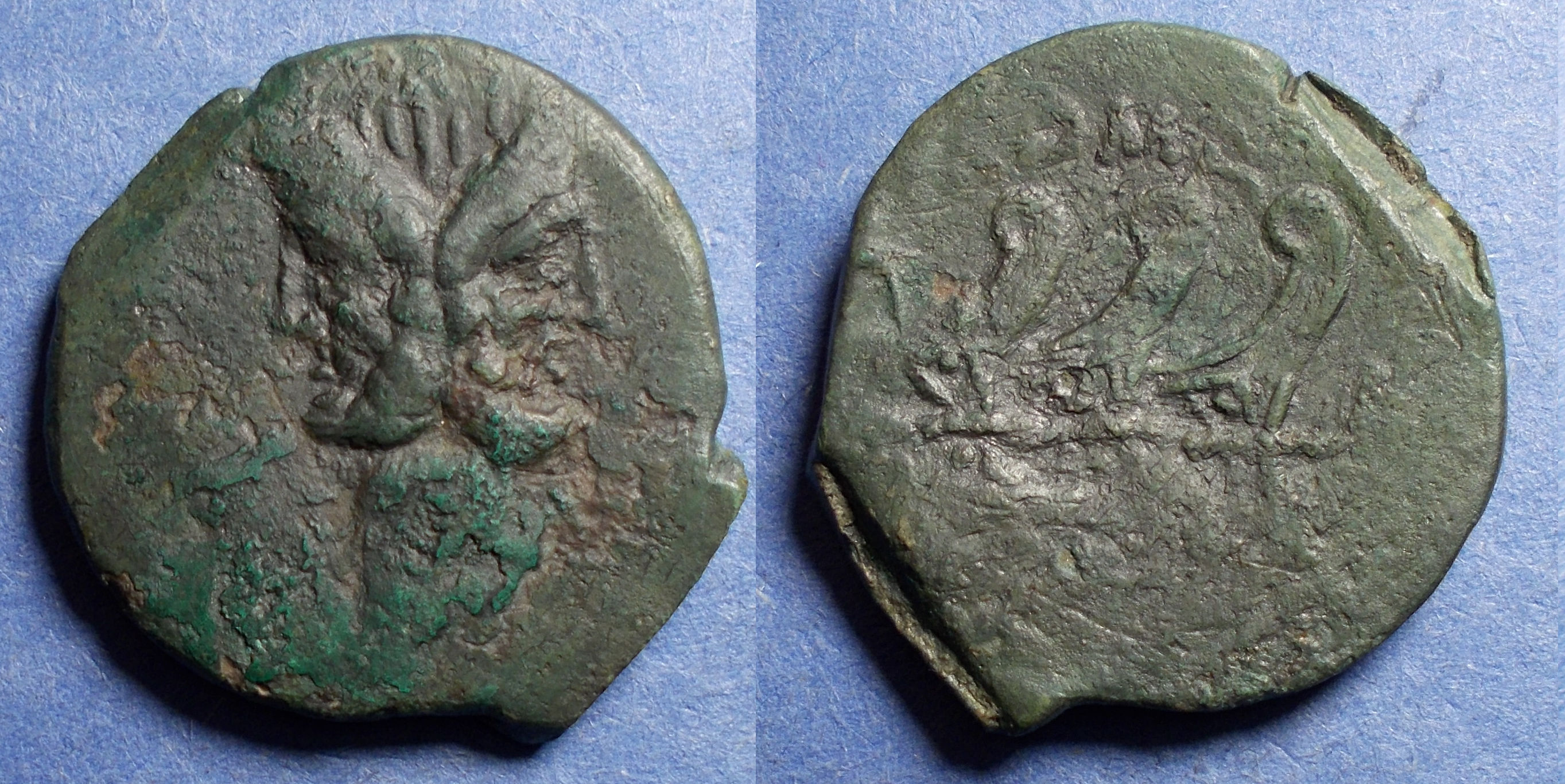 Roman Republic, C Vibius C f Pansa 90 BC, Bronze Aes | Roman Republican ...