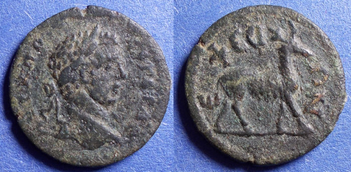 Ephesos Ionia, Geta - as Augustus 208-212, Bronze AE18 | Roman ...