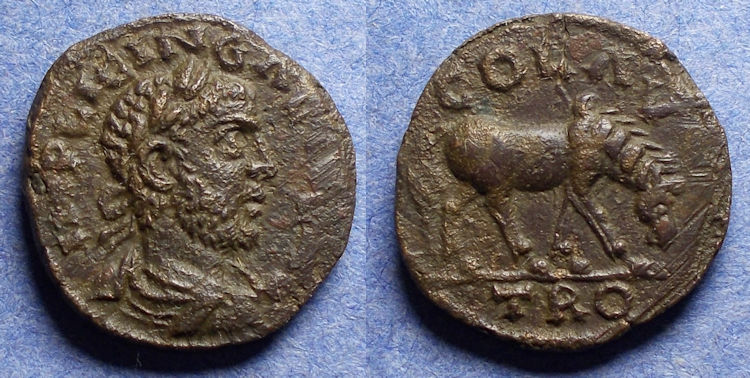 Alexander Troas, Gallienus 253-268, AE20 | Roman Provincial Coins