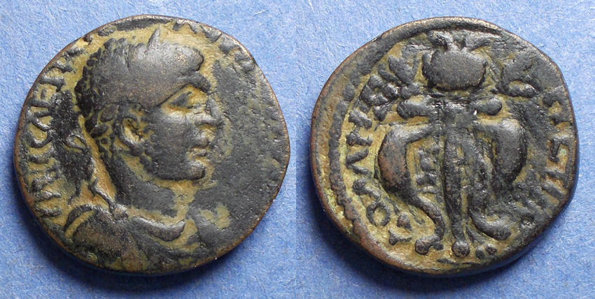 Coele-Syria, Damascus, Gallienus 253-268, Bronze AE20 | Roman ...