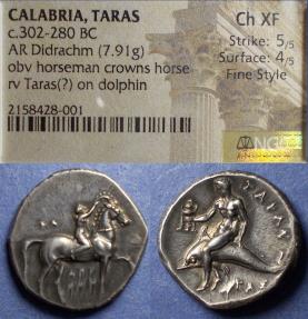 Calabria, Taras, 281-272 BC, Silver Nomos - NGC Choice XF | Greek Coins