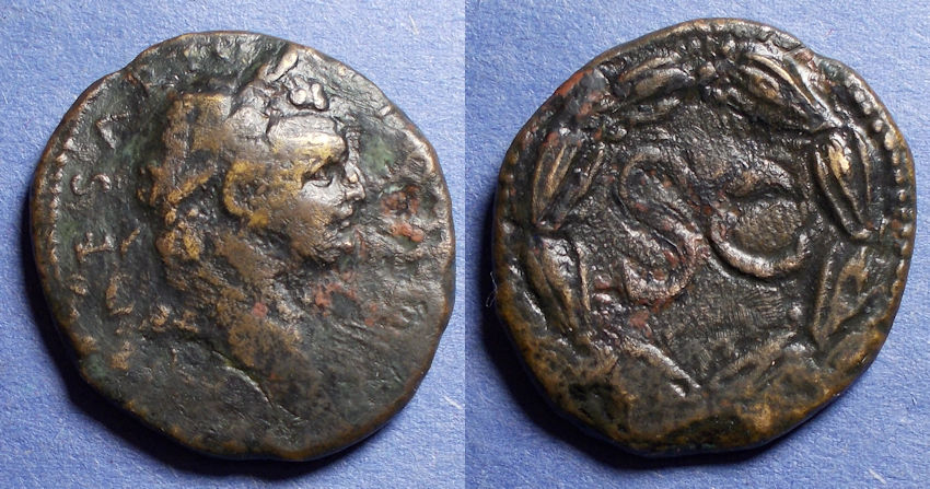 Seleucia & Pieria, Domitian 81-96, Bronze AE29 | Roman Provincial Coins