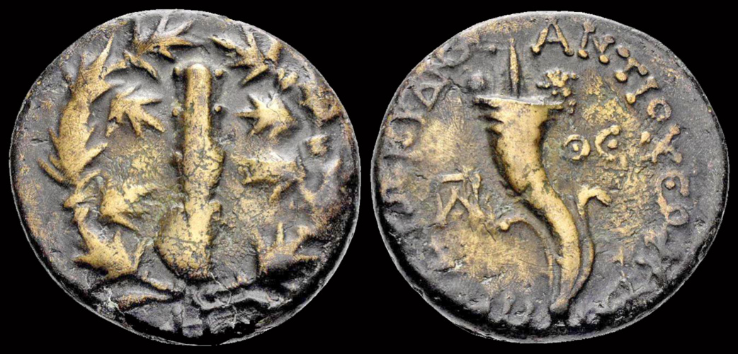 Seleucid Kingdom Time of Antiochos IV AE22 cornucopia | Greek Coins