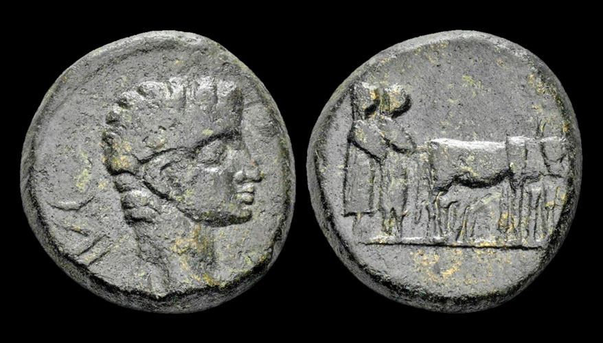 Macedon Philippi Tiberius AE16 two priest and oxen | Roman Provincial Coins