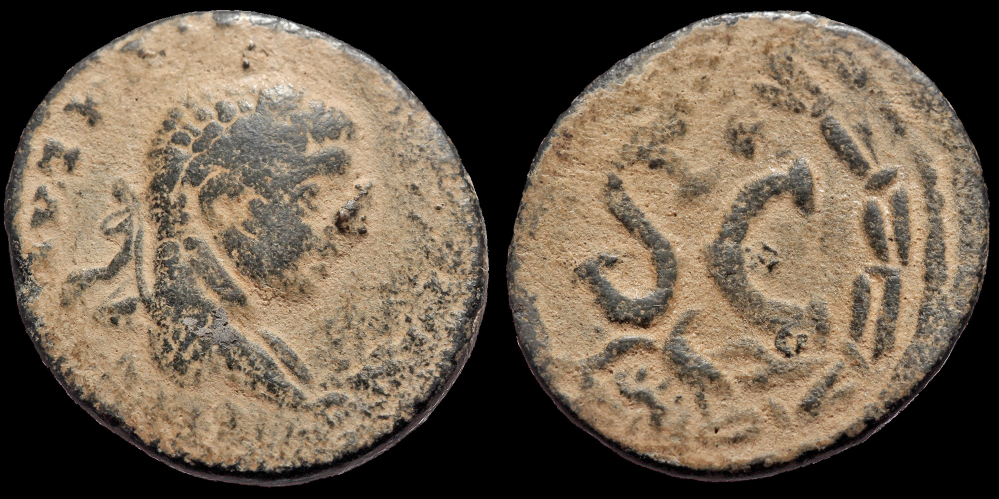 Syria Antioch Seleucis and Pieria Elagabalus AE20 S-C in laurel wreath