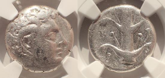 Cyrenaica. Cyrene. Ca. 308-277 BC. AR didrachm. Sylphium plant. Rare.