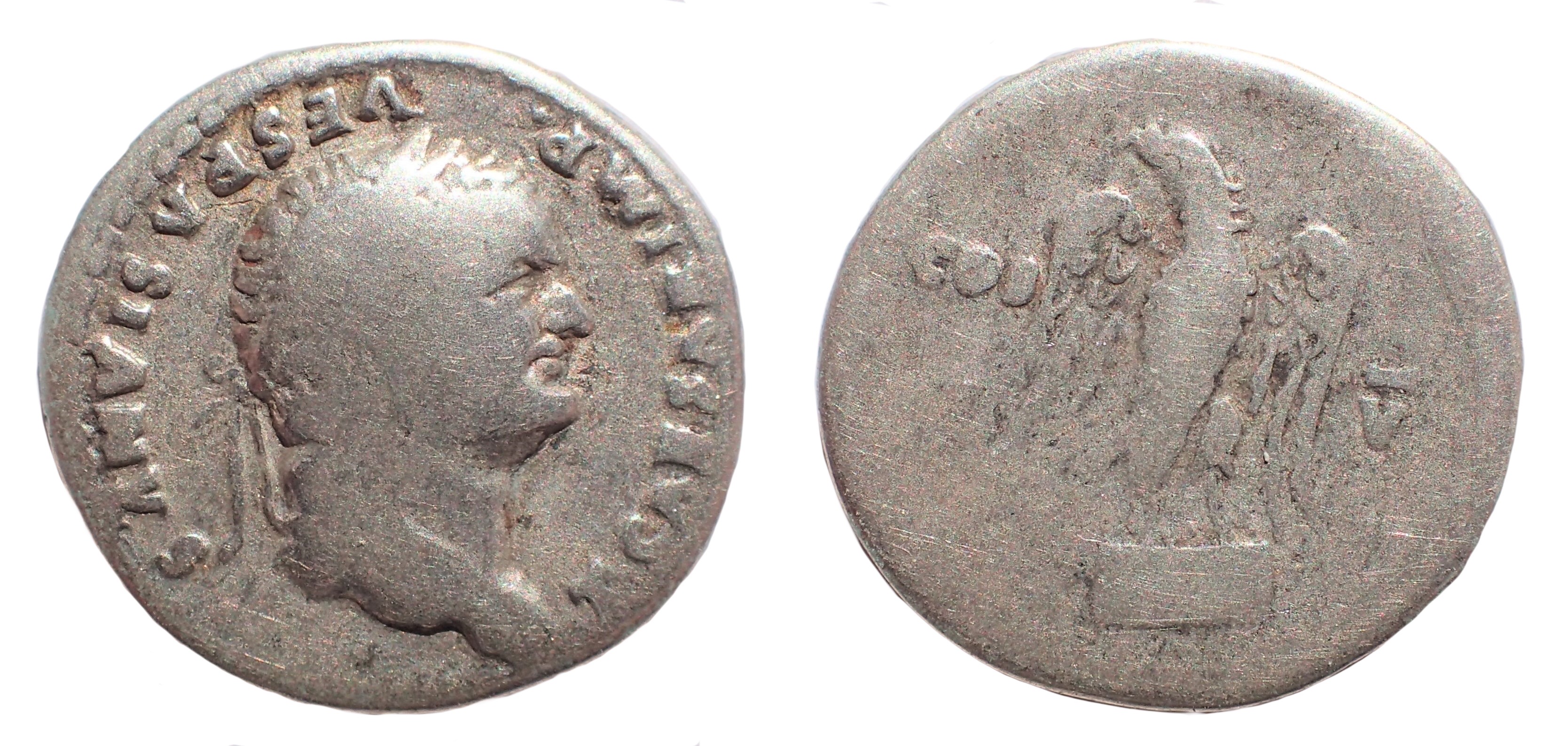 Titus (Caesar, 69-79). Denarius | Roman Imperial Coins