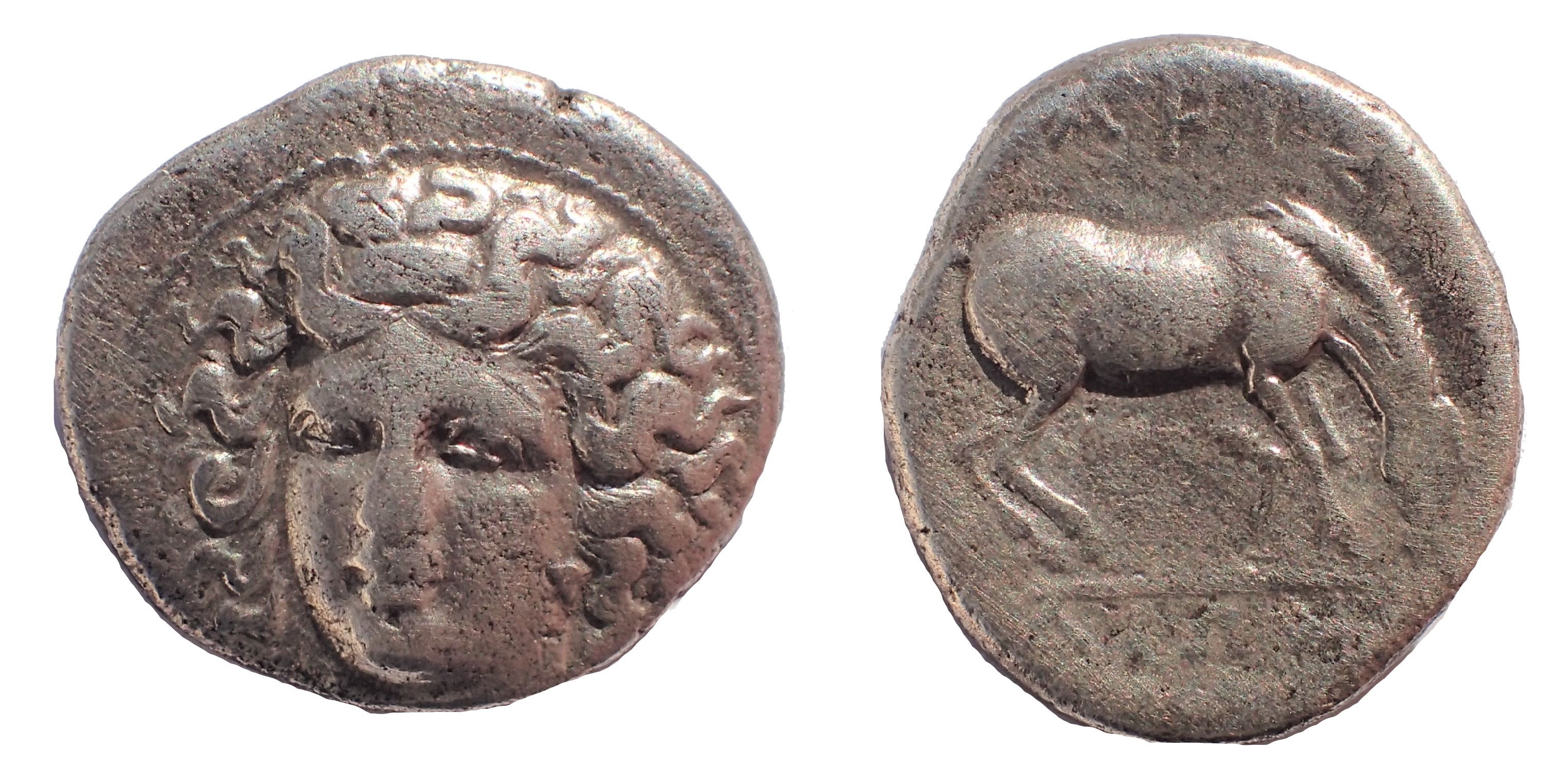 Thessaly. Larissa. Ar Drachm, c. 356-342 BC. | Greek Coins