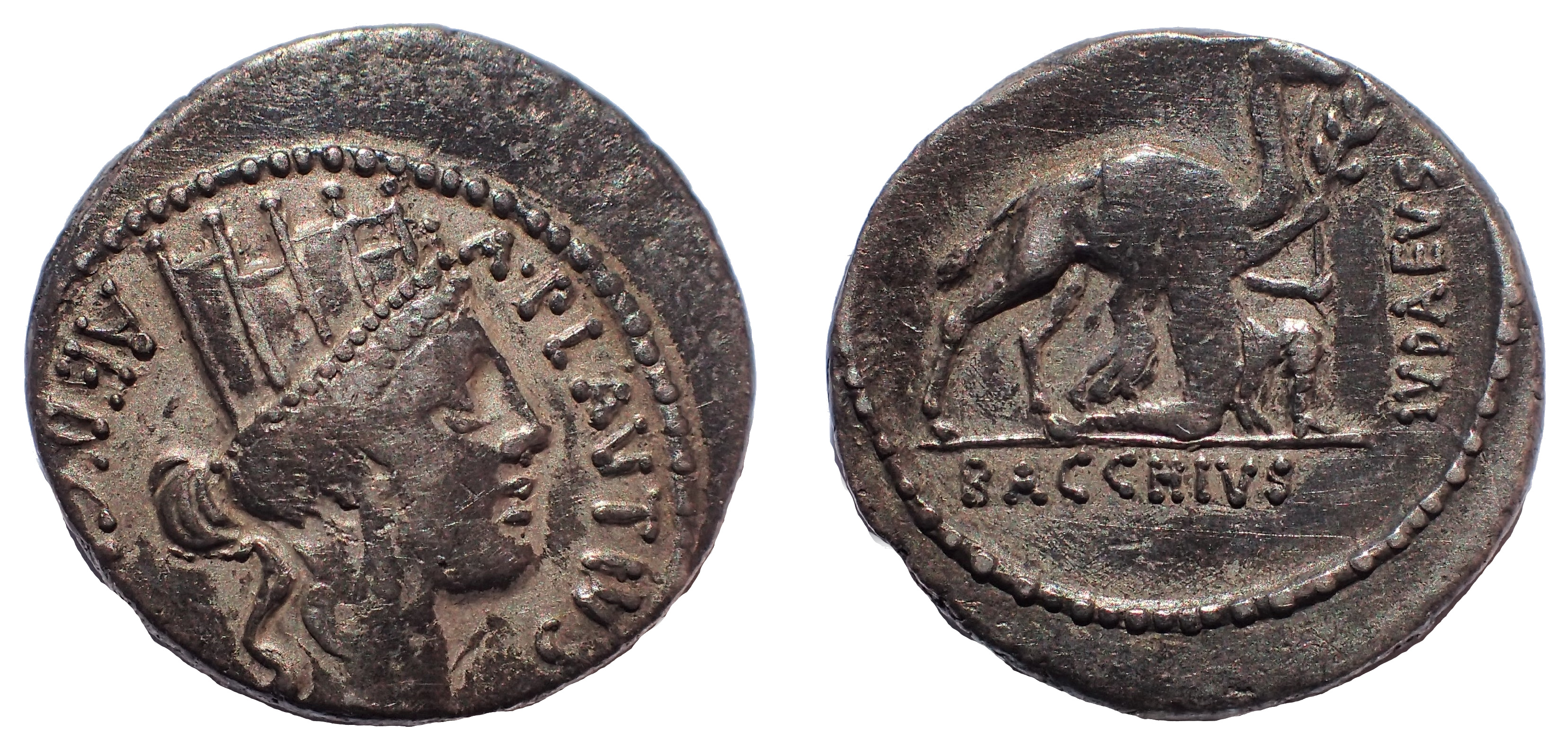 A. Plautius. 55 BC. AR Denarius. Aristobulus II, High Priest and King ...