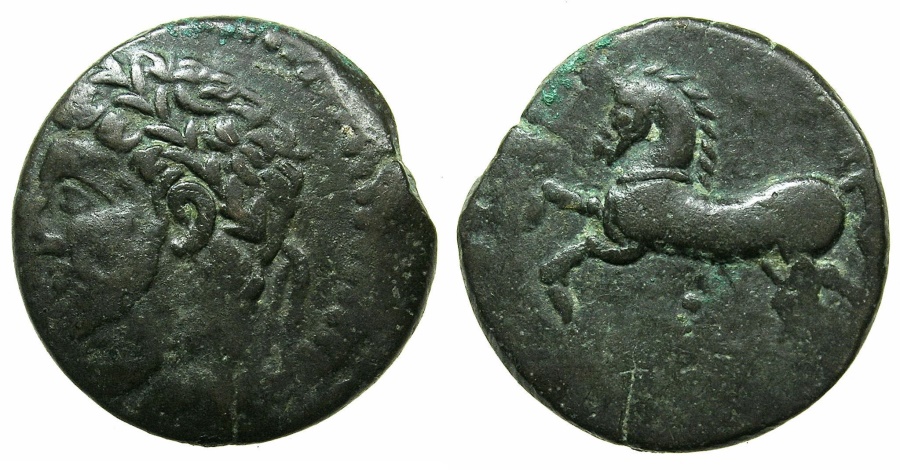 NUMIDIA.Massinissa or Micipsa circa 203-148-118 BC.AE.26mm. | Greek Coins
