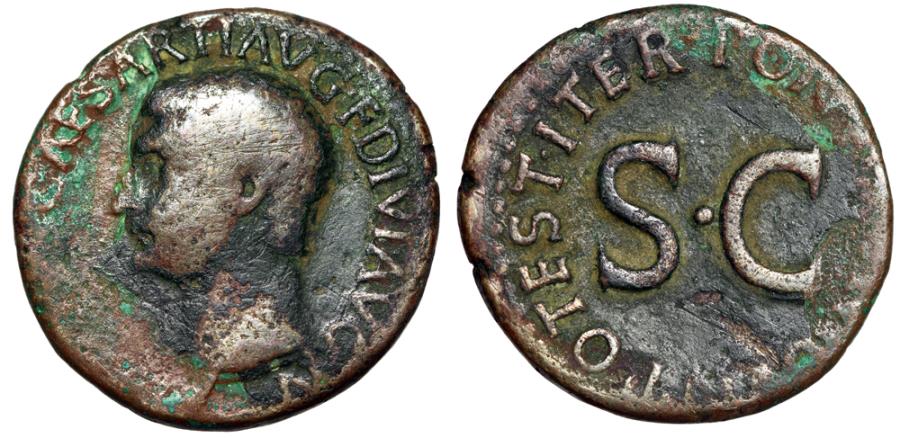 Drusus Julius Caesar (Son of Tiberius) AE As Portrait & Large SC Under ...