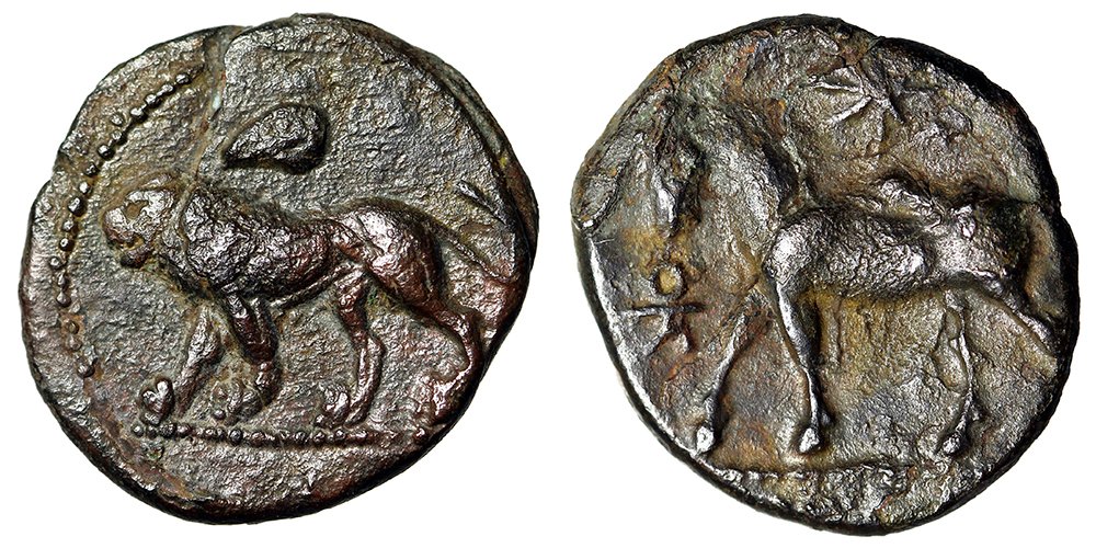 Cyprus, Salamis AE16 Lion, Rams Head / Horse, Ankh Rare Extremely Fine