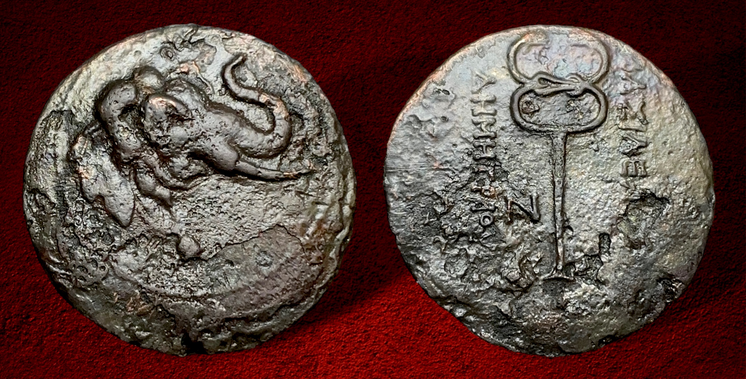 Baktria, Greco-Baktrian Kingdom, Demetrios I Antiketos. Circa 200-185 ...