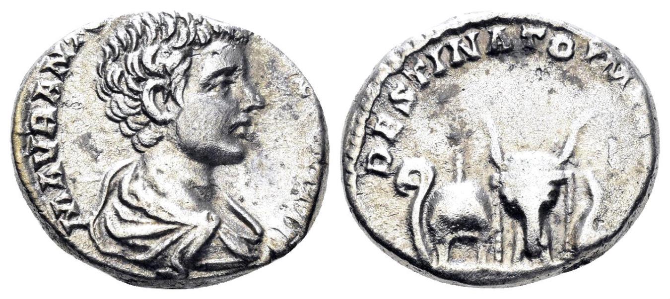 Caracalla, as Caesar. 196-198 AD. AR Denarius (3.00 gm, 17mm). Rome mint. Struck 196-198 AD. RIC 6