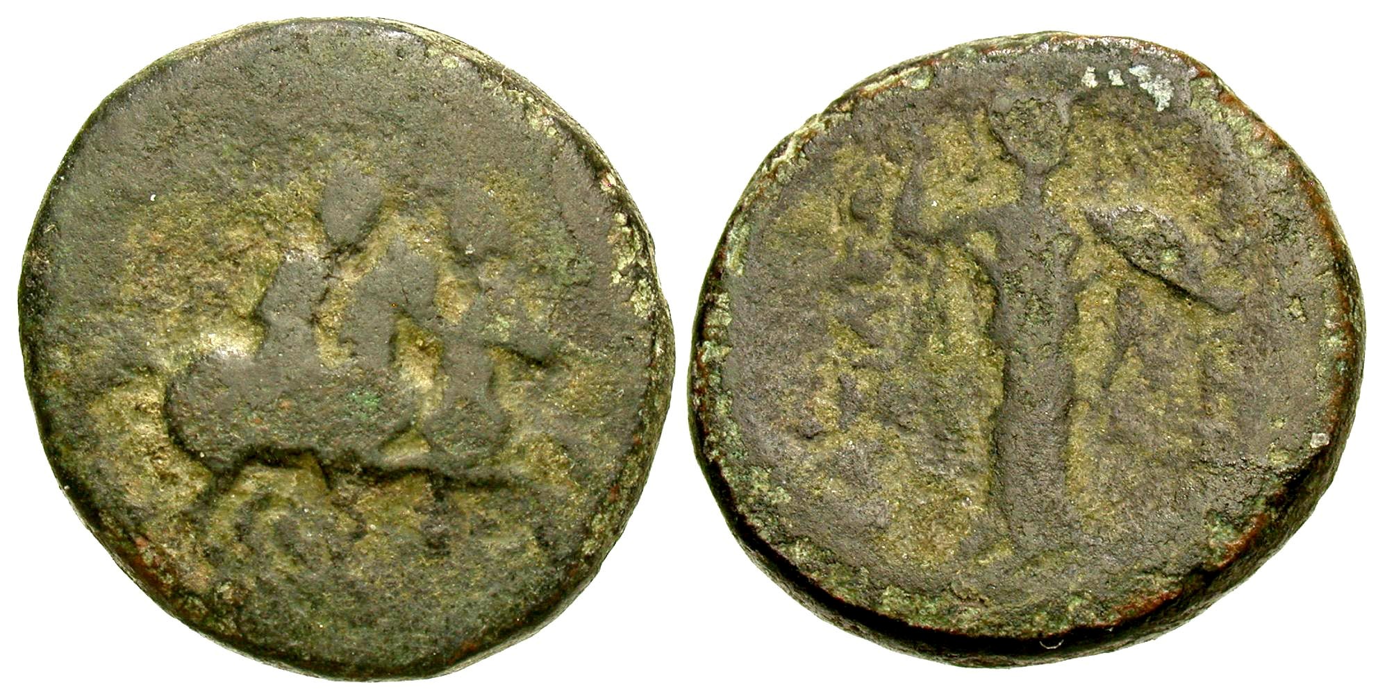 Antiochos II Theos AE--Dioscuri | Greek Coins