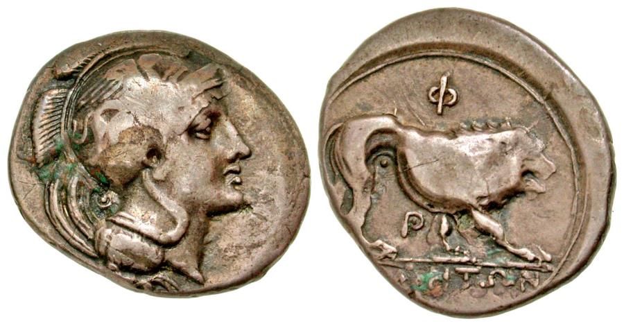 Lucania, Velia AR (Silver) Didrachm | Greek Coins