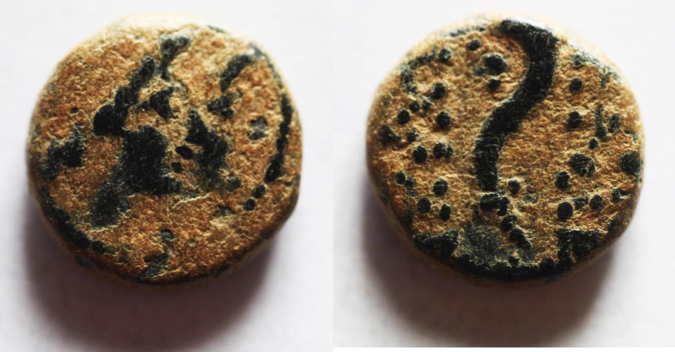 SELEUKID KINGS of SYRIA. AE 12 | Greek Coins