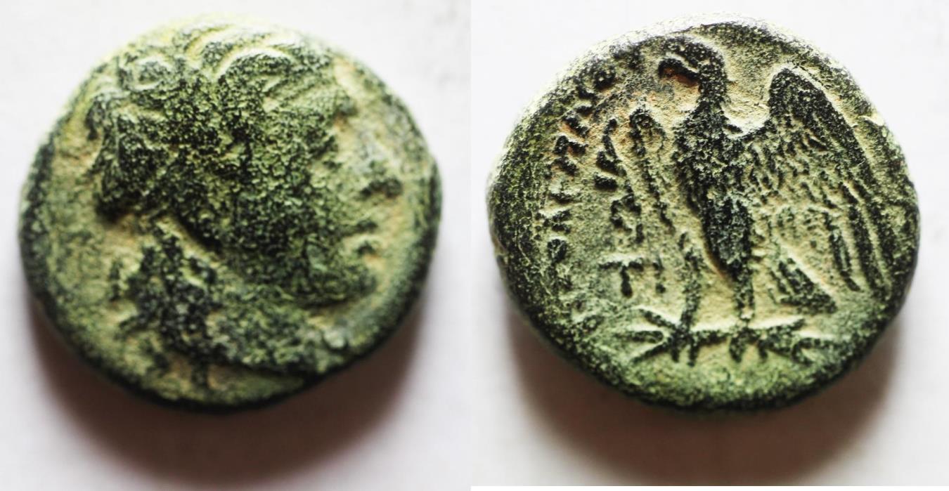 PTOLEMAIC KINGDOM. PTOLEMY I AE 18. ALEXANDRIA MINT. | Greek Coins