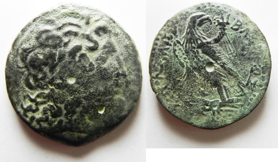 Ptolemaic Kingdom of Egypt. Ptolemy IV Philopator AE 37 mm. 222-204 BC ...