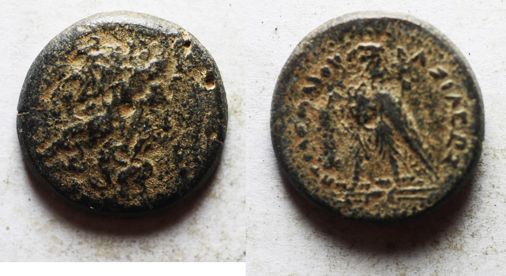 PTOLEMAIC KINGDOM. PTOLEMY III AE 19 | Greek Coins