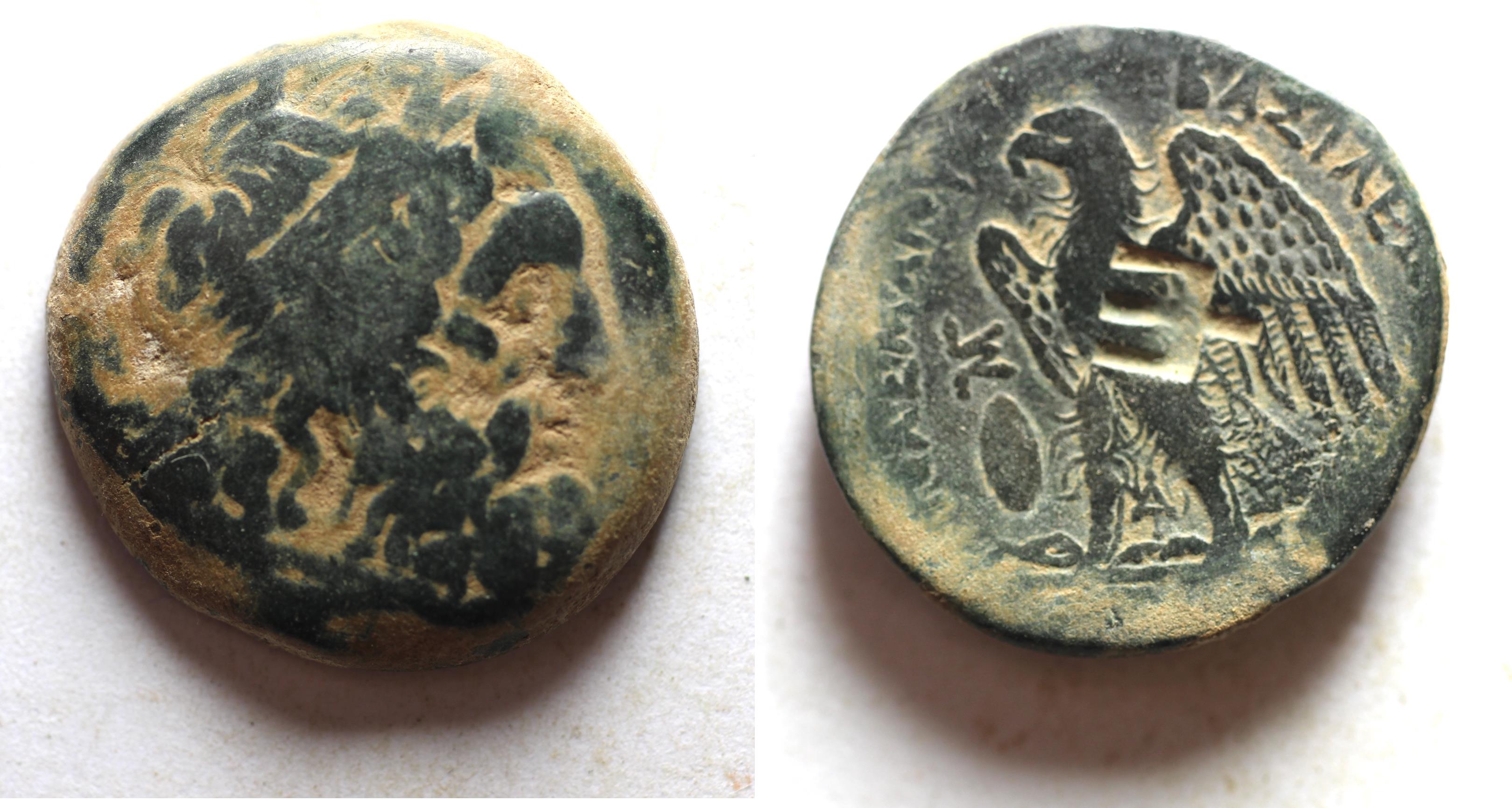 PTOLEMAIC KINGDOM. PTOLEMY II . AE 27. ALEXANDRIA MINT. BEAUTIFUL