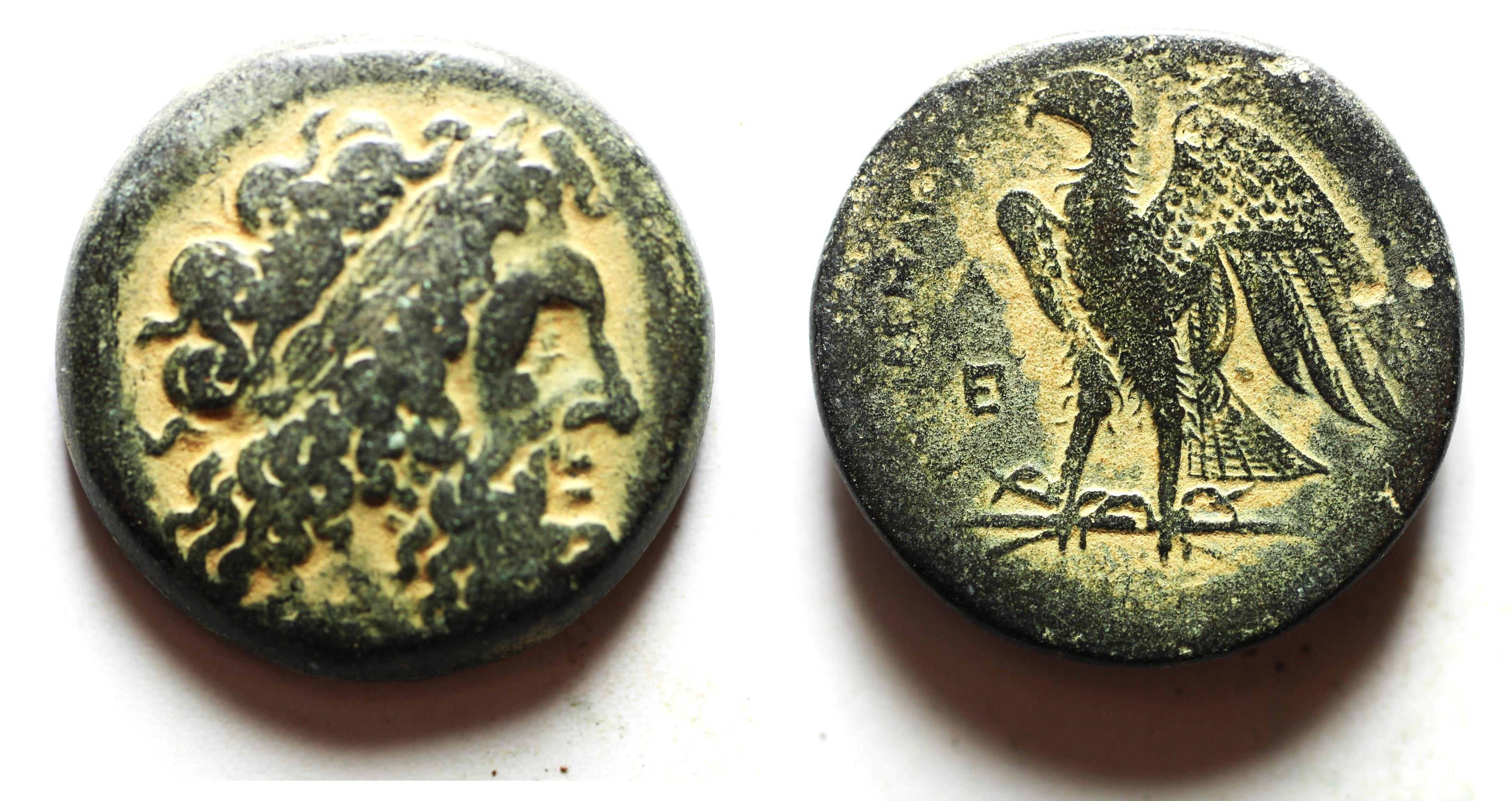 PTOLEMAIC KINGDOM. PTOLEMY II AE 25. ALEXANDRIA | Greek Coins