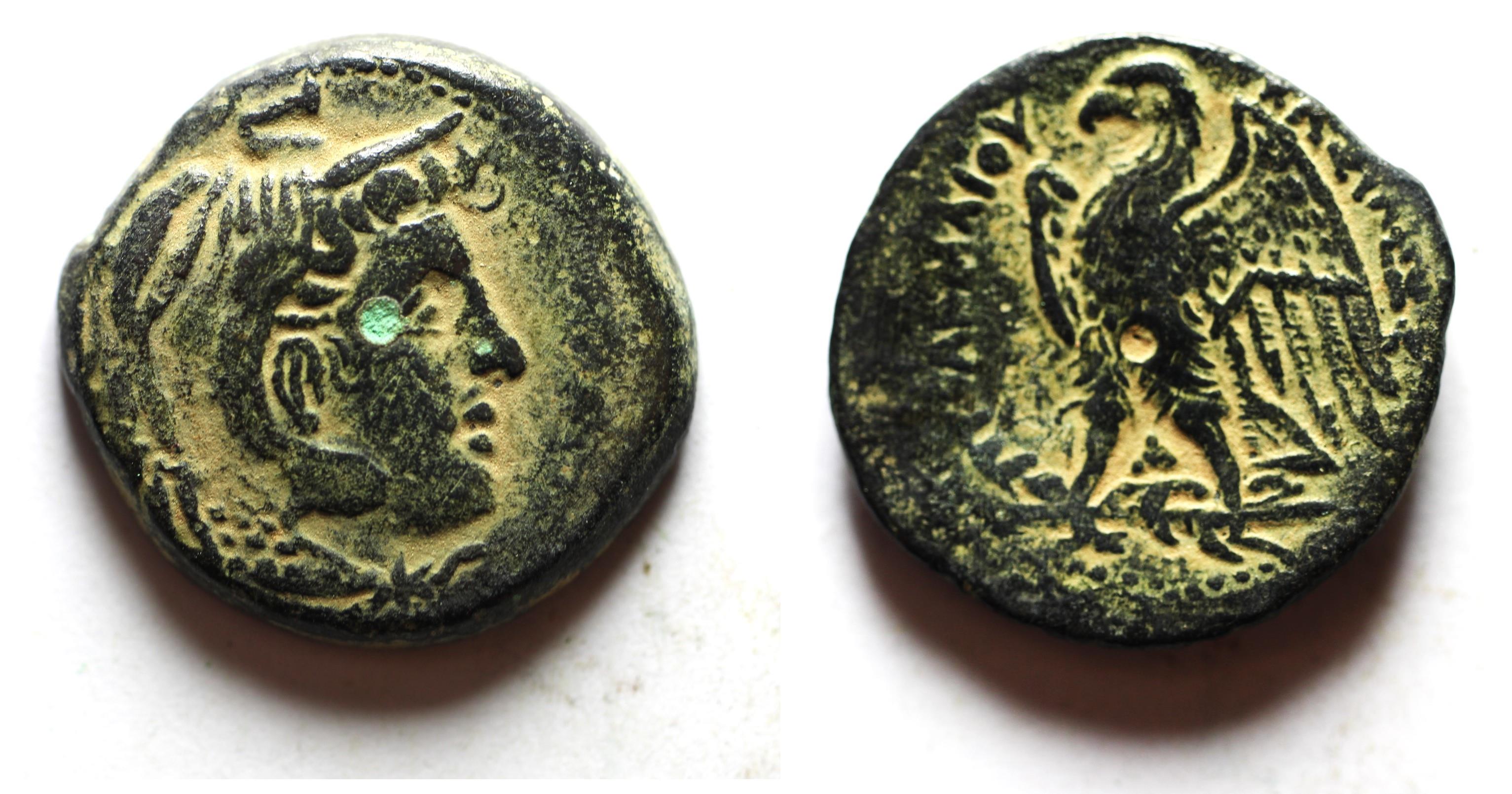 ALEXANDER THE GREAT HEAD: PTOLEMAIC KINGDOM. PTOLEMY II AE 23. ALEXANDRIA