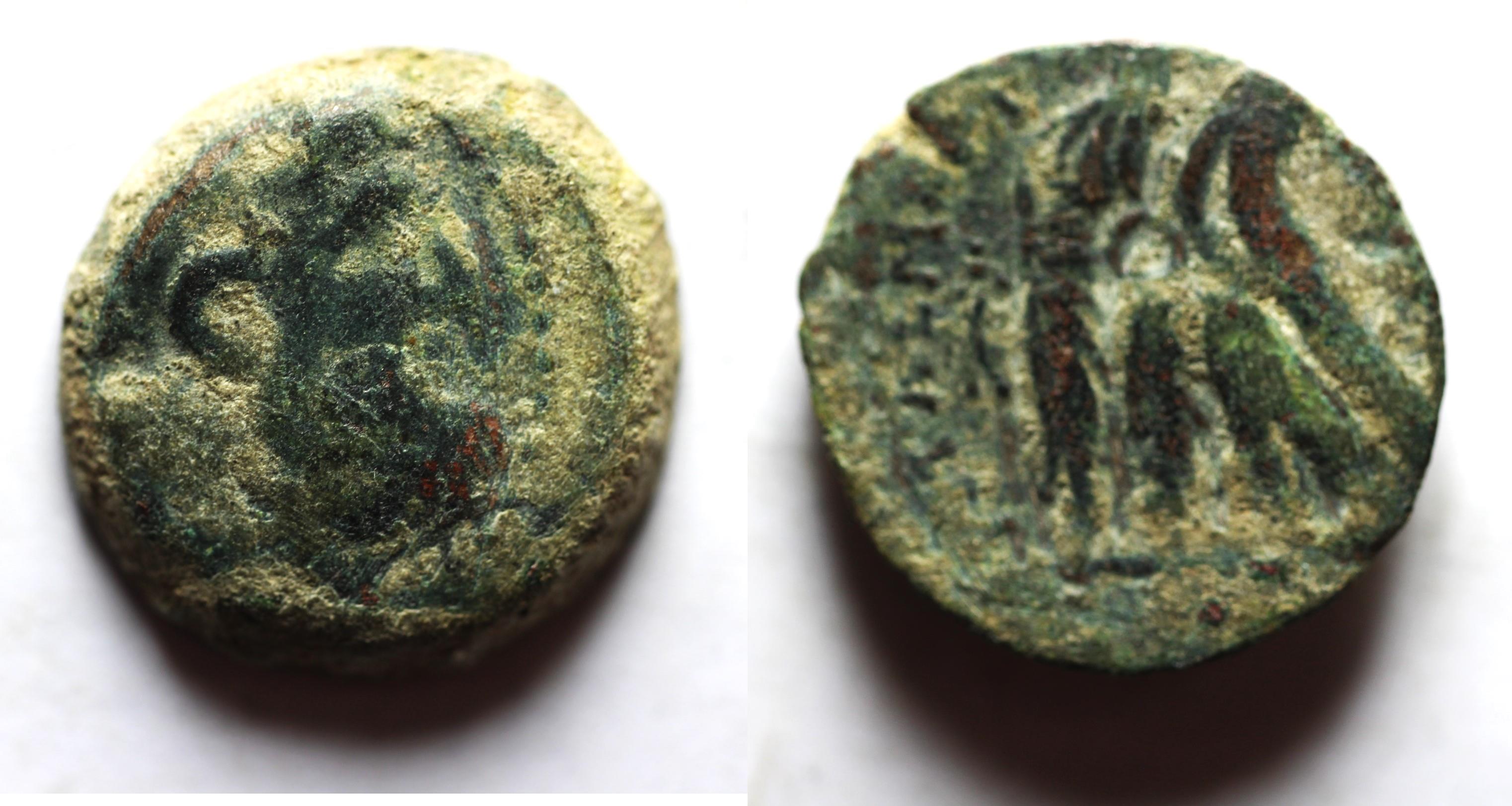 PTOLEMAIC EMPIRE. PTOLEMY VI 180-145 BC. AE 19 | Greek Coins