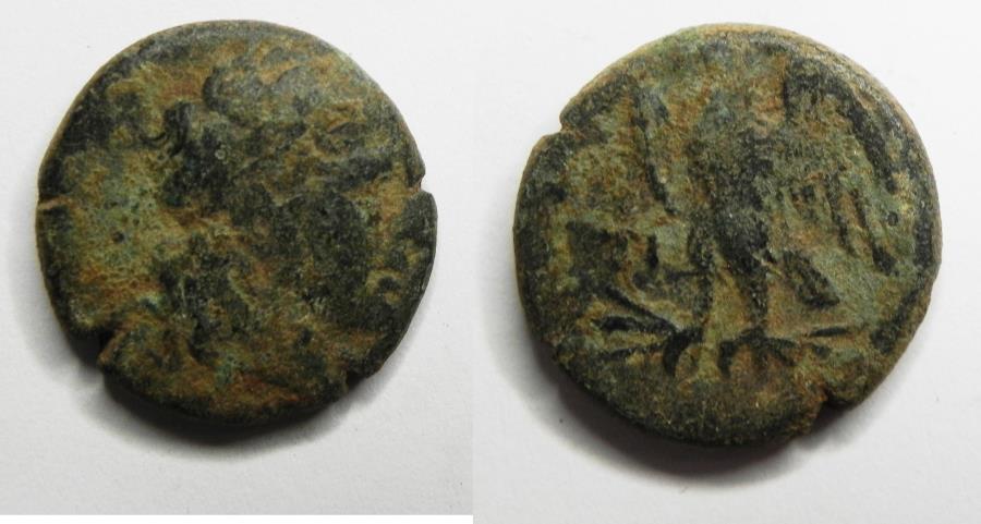 PTOLEMAIC KINGDOM. PTOLEMY I AE 18 | Greek Coins