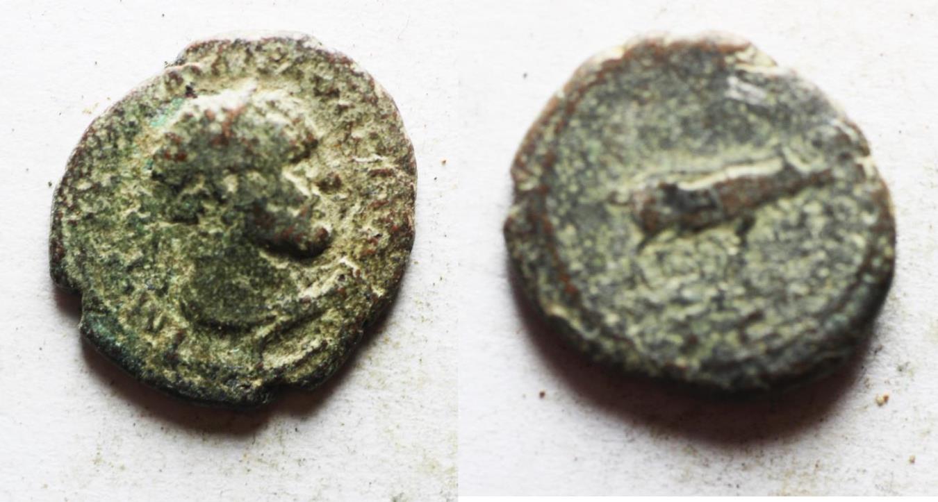 ROMAN IMPERIAL. TRAJAN AE QUADRANS. BOAR | Roman Imperial Coins