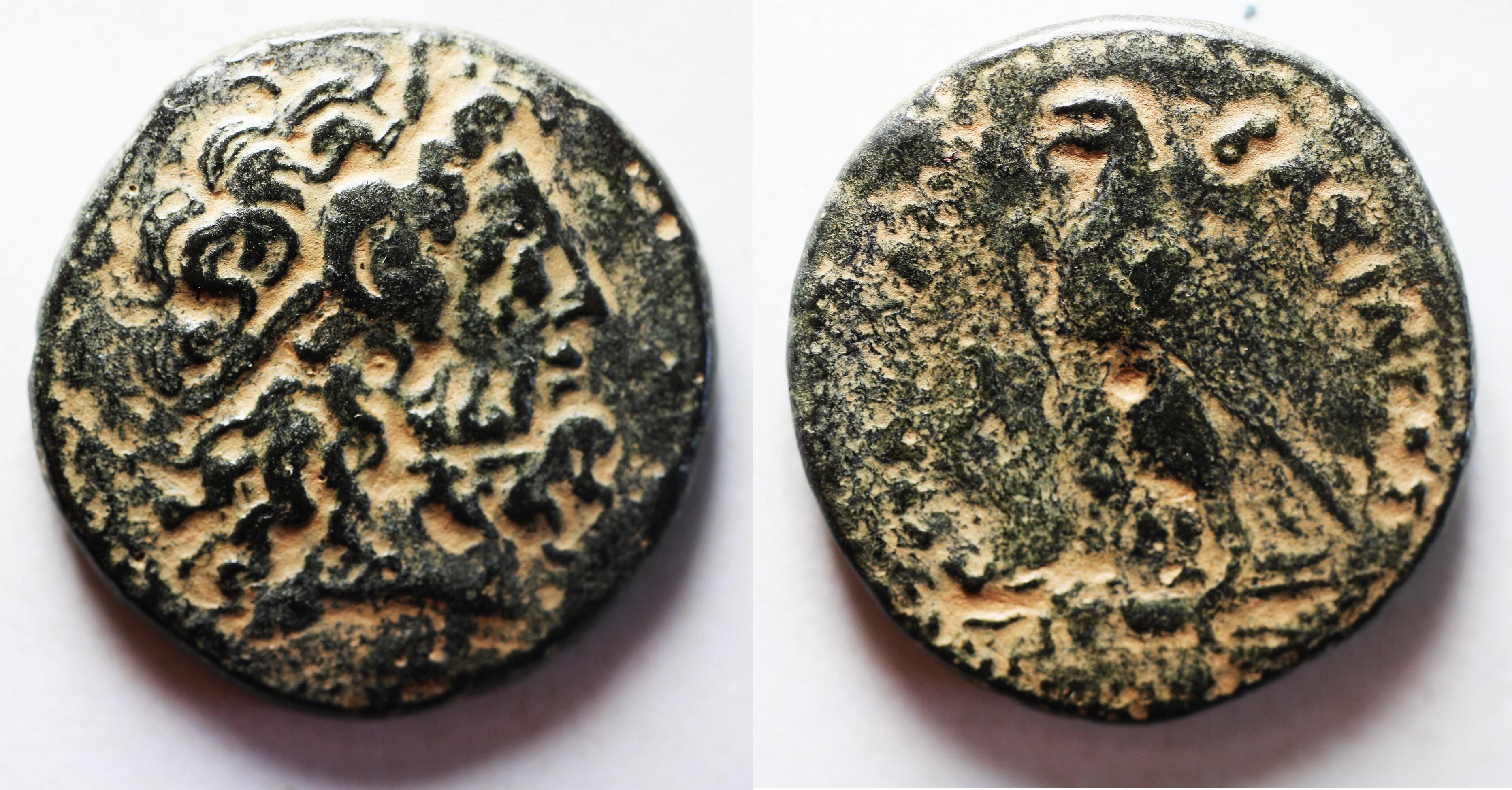 Ptolemaic Kingdom. Ptolemy III ae 34 | Greek Coins