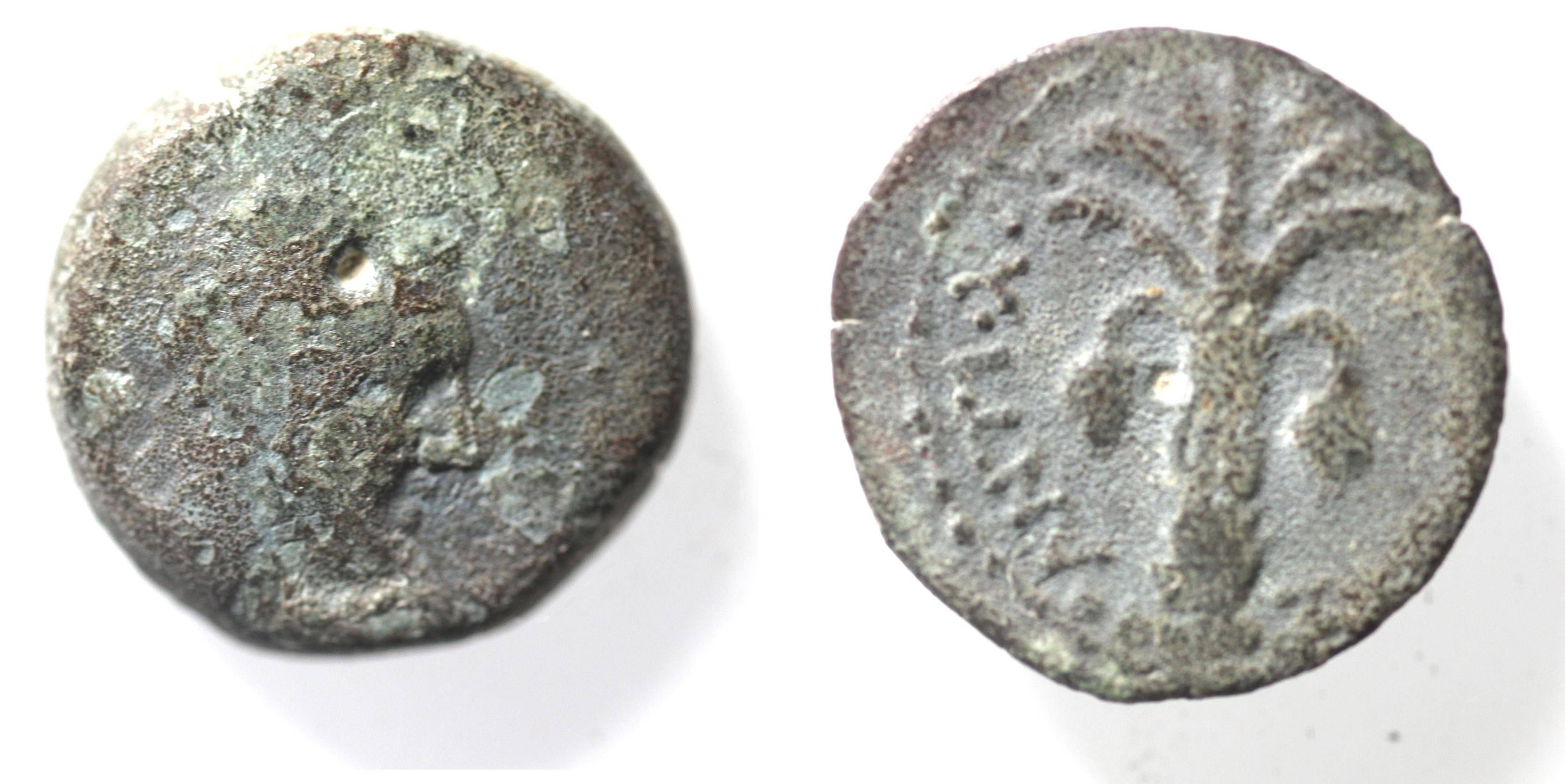 Seleukid Kings of Syria, Antiochos III The Great, 222 - 187 BC AE 14
