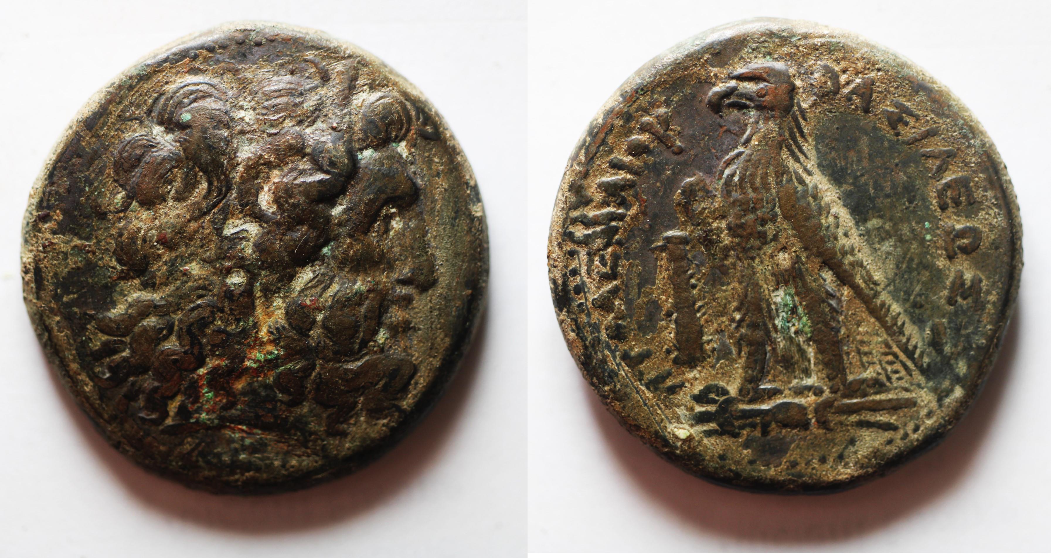 Ptolemaic Kingdom. Ptolemy III ae 35 | Greek Coins