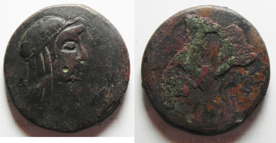 PTOLEMAIC KINGDOM. PTOLEMY V AE DRACHM. CYRENE? | Greek Coins