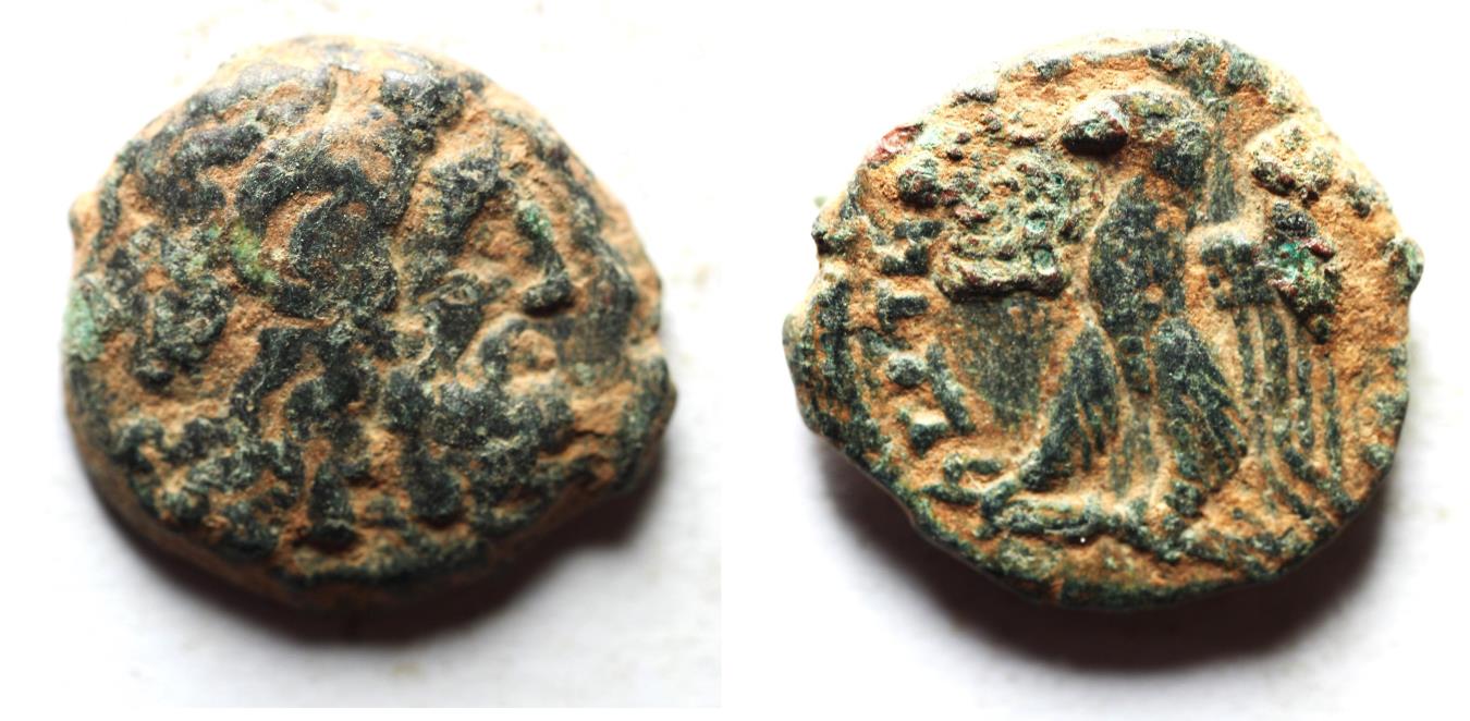 CYRENE: Ptolemaic Kingdom. Ptolemy VIII Euergetes II (Physcon). Second ...