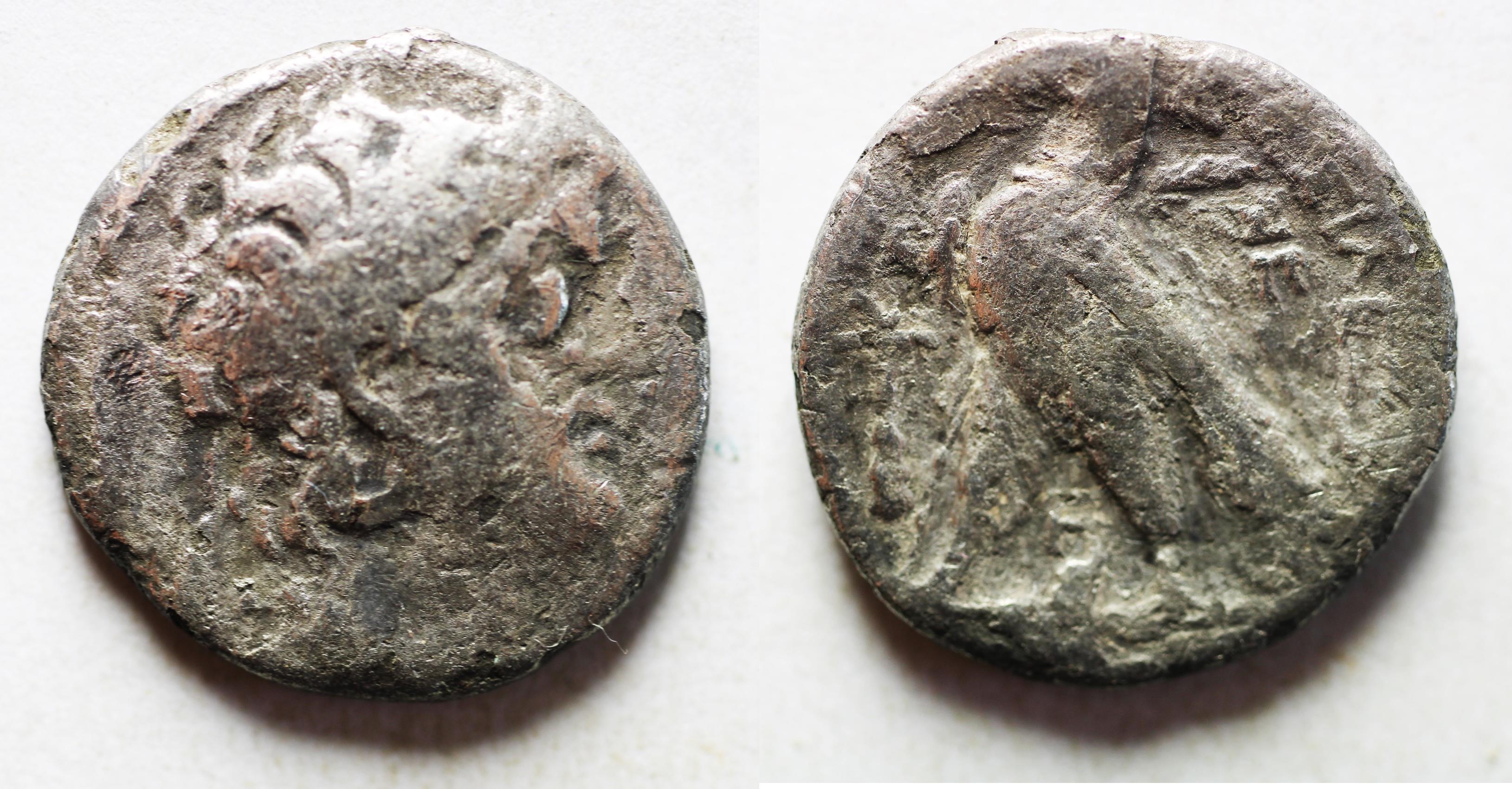 SELEUKID SILVER DIDRACHM | Greek Coins