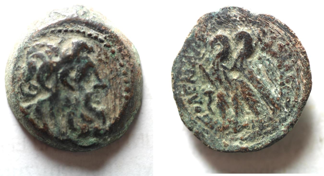 PTOLEMAIC EMPIRE. PTOLEMY VI 180-145 BC. AE 20 | Greek Coins