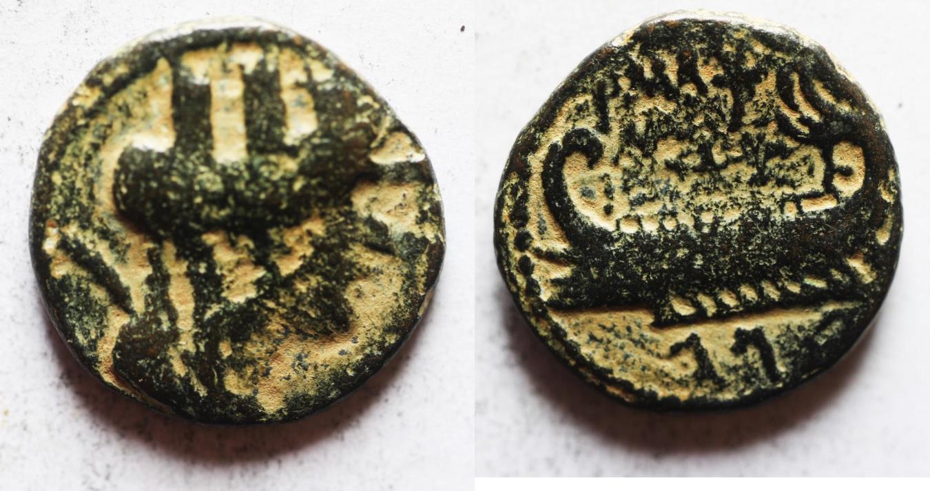 Phoenicia, Tyre, 1st century BC. Æ 19, TYCHE. GALLEY | Greek Coins