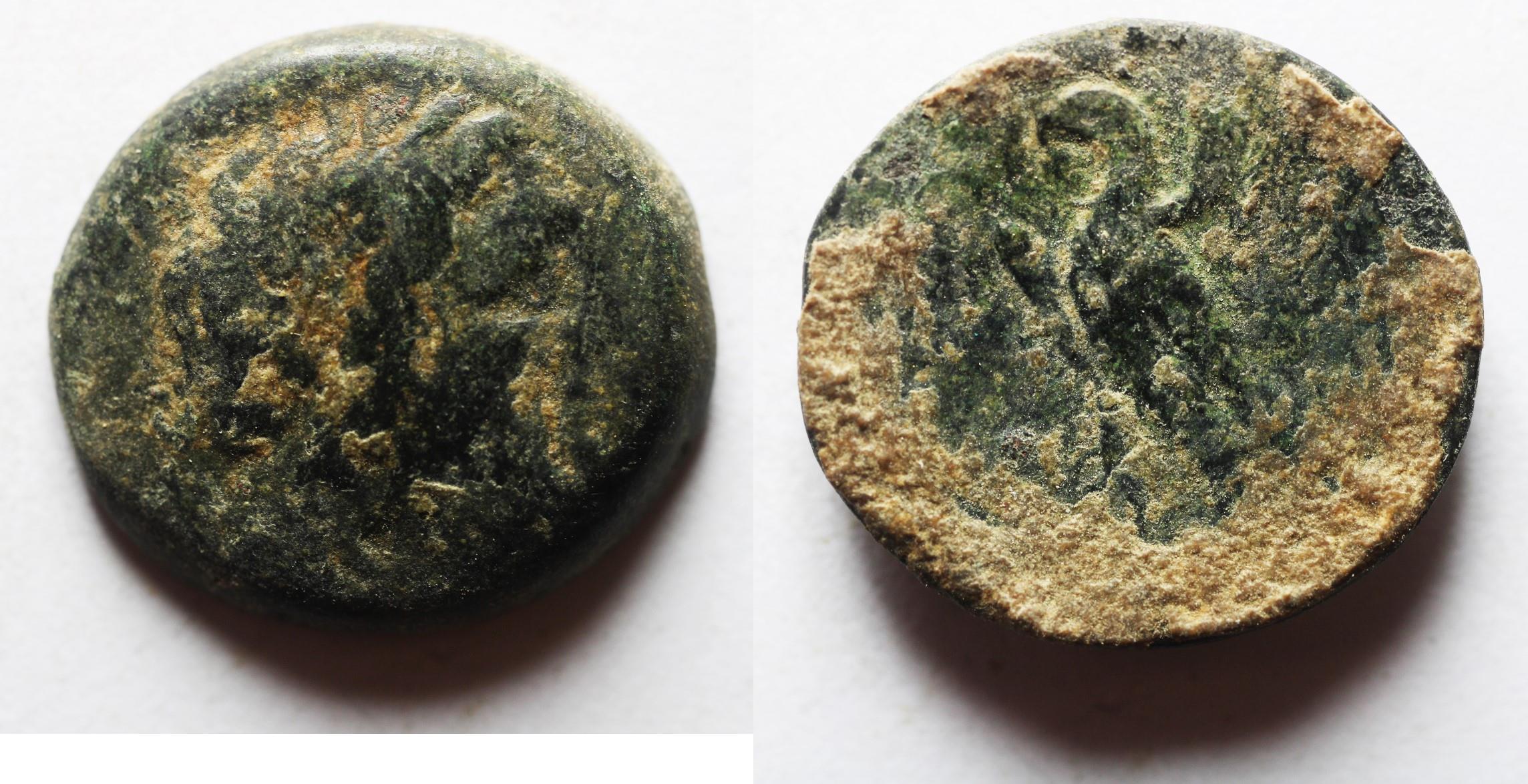 PTOLEMAIC KINGDOM. PTOLEMY II AE 18. SIDON MINT. | Greek Coins