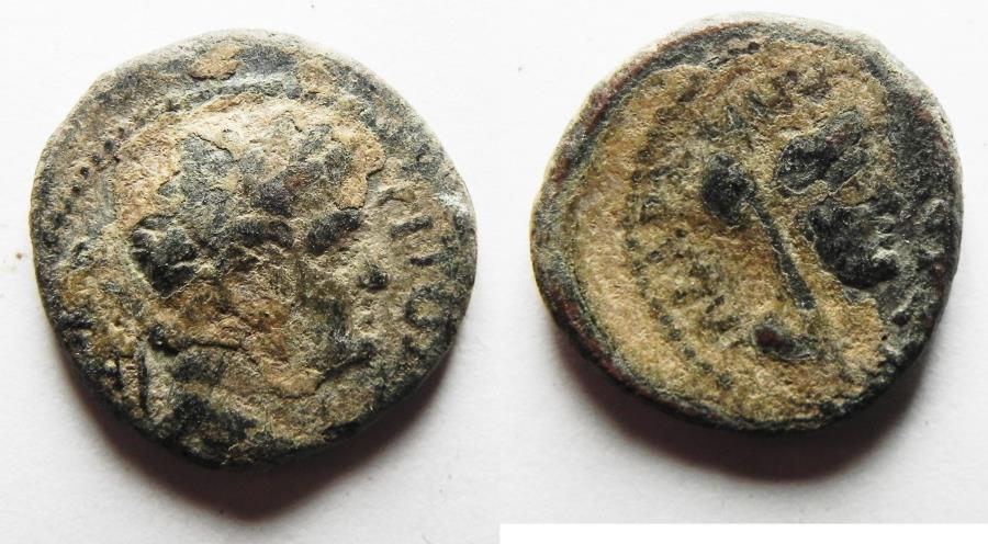 DECAPOLIS. GADARA. TITUS. TYCHE. AE 17 | Roman Provincial Coins